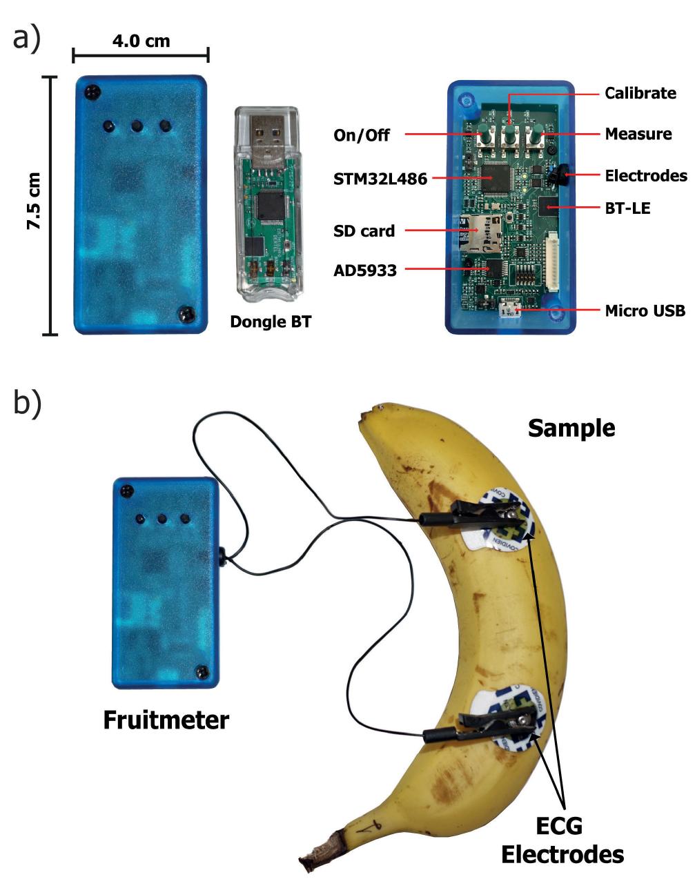 A) fruitmeter prototype (with size) and bluetooth dongle
