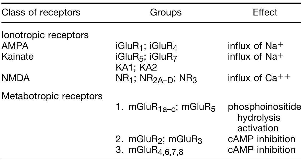 Schematic classification of glutamic acid receptors! 1 ampa,