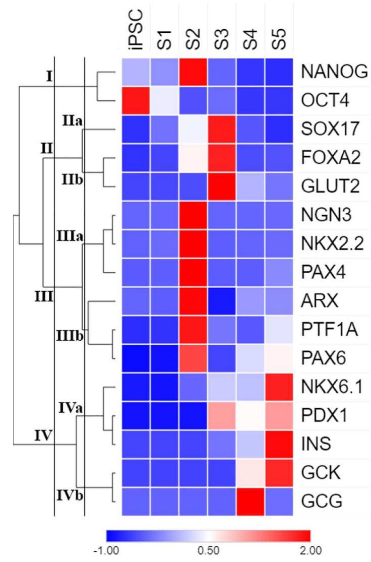 Heatmap analysis with hierarchical clustering. heatmap and