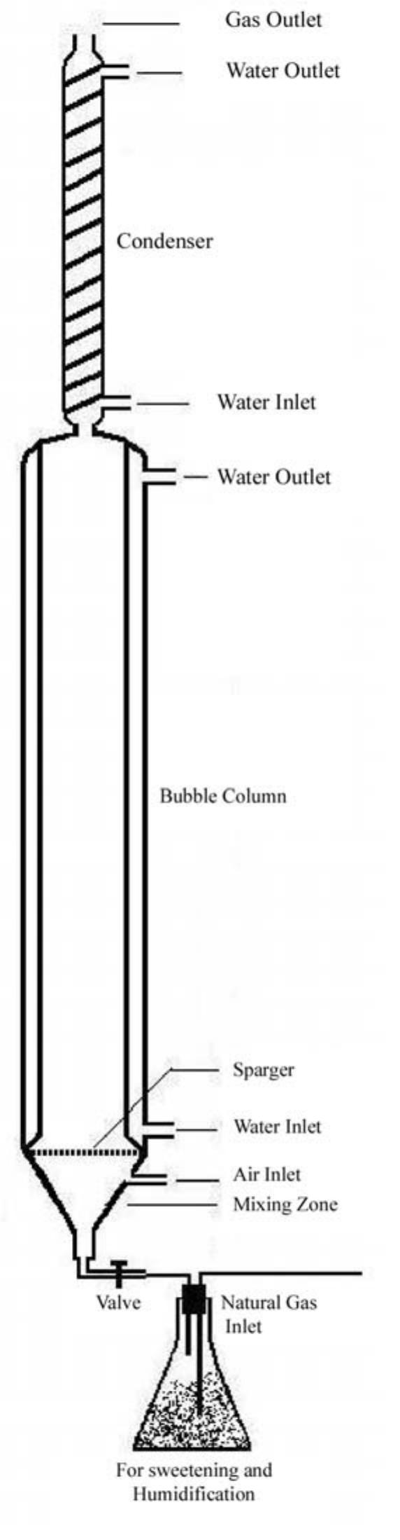 A schematic representation of the bench scaled bubble column