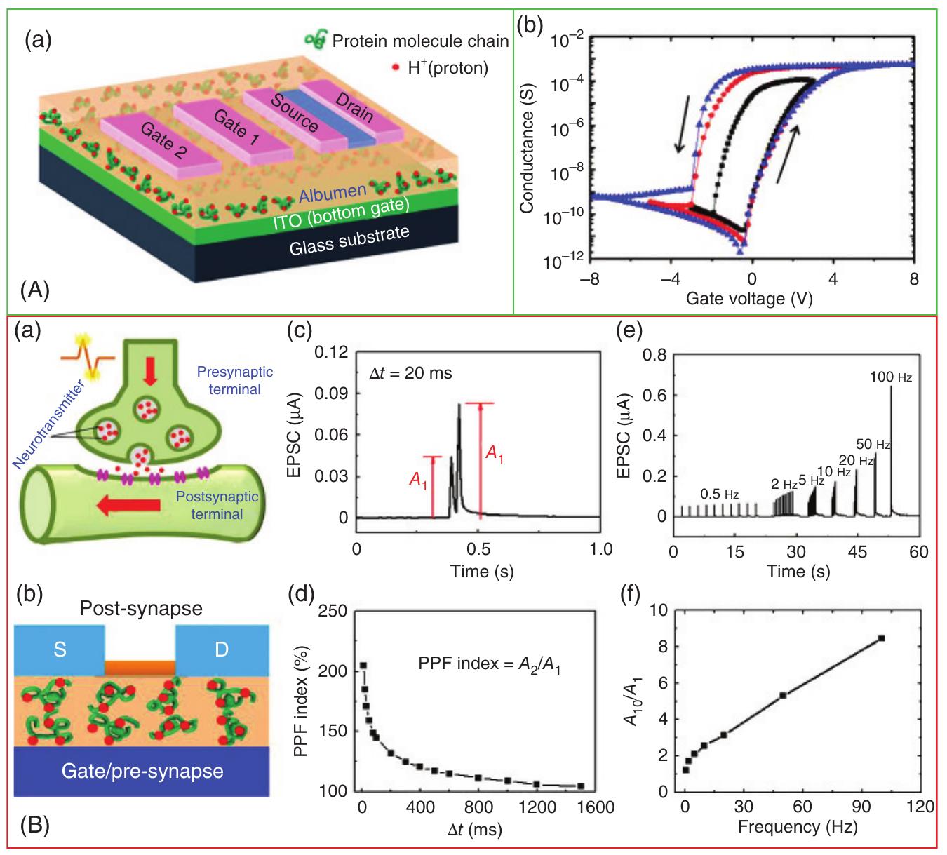 23 (a) (a) schematic of the aloumen-gated izo-based synaptic