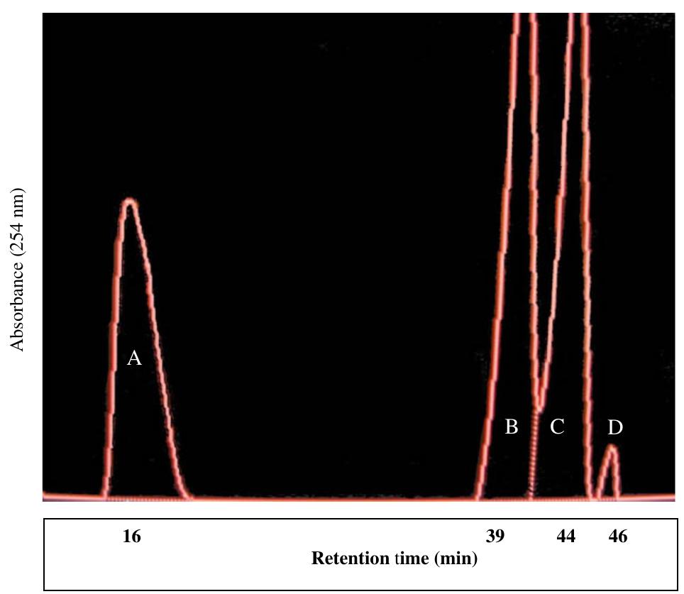 An example of an elution profile of normal-phase high