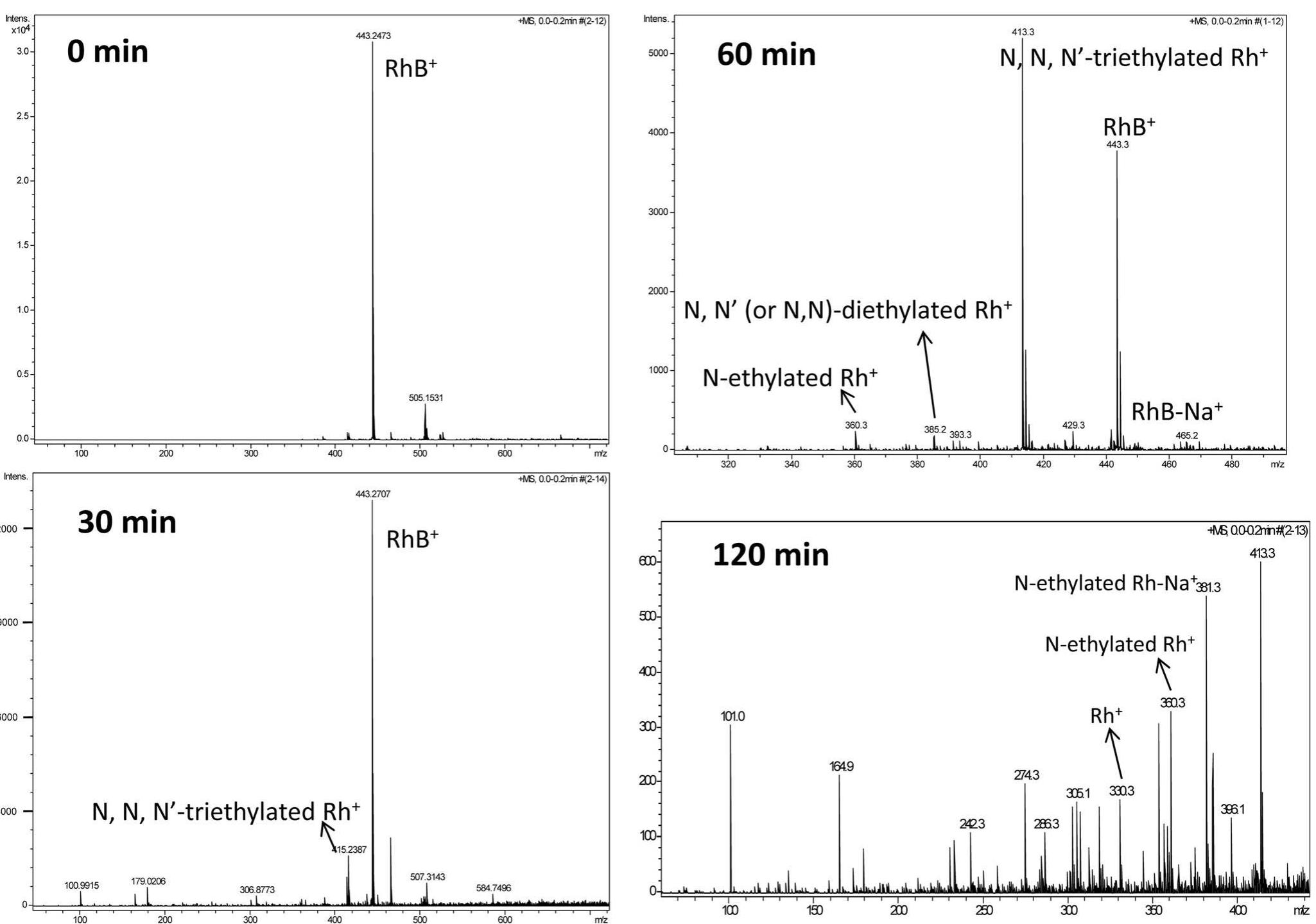 Positive ion esi mass spectra of rhb dye solution during the