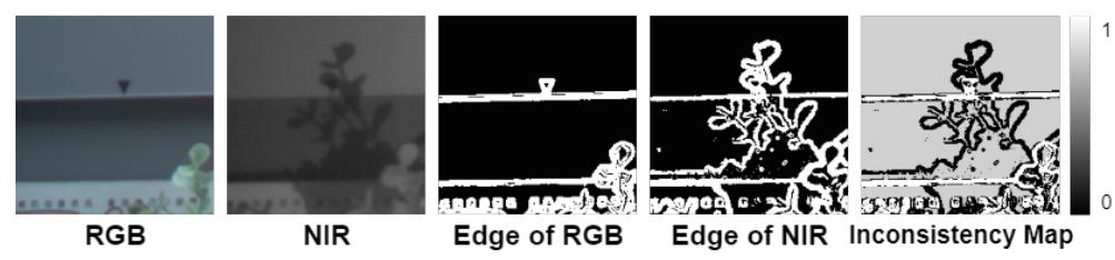 Through applying f on edge maps of clean rgb and nir images,