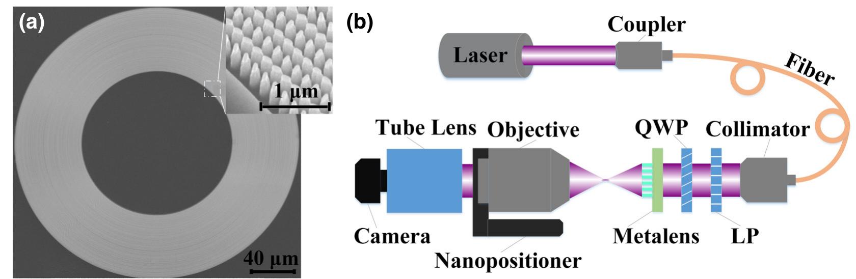 Fabricated metalens and experimental schematic. (a)