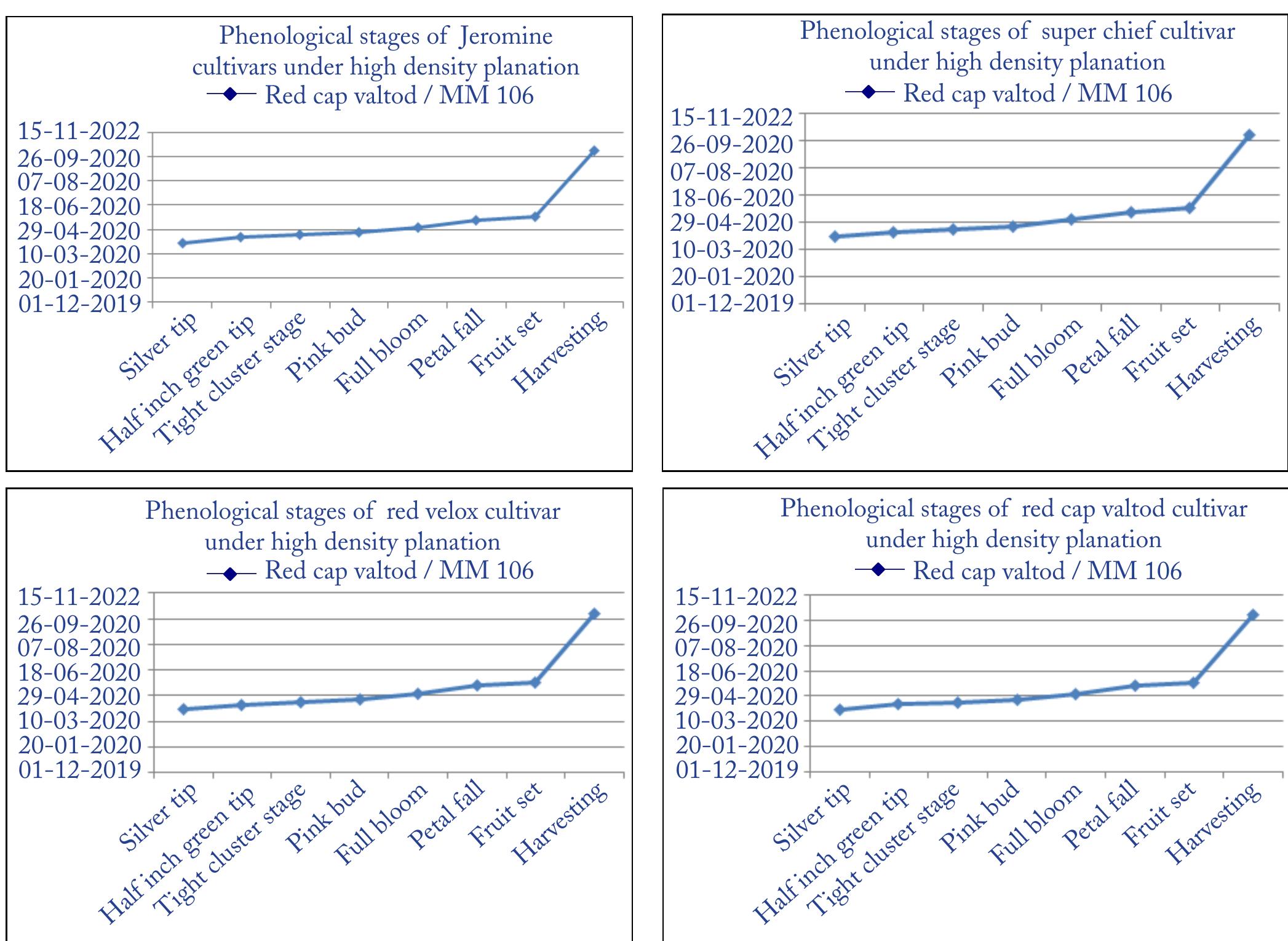 Phenological stages of apple varieties under high-density