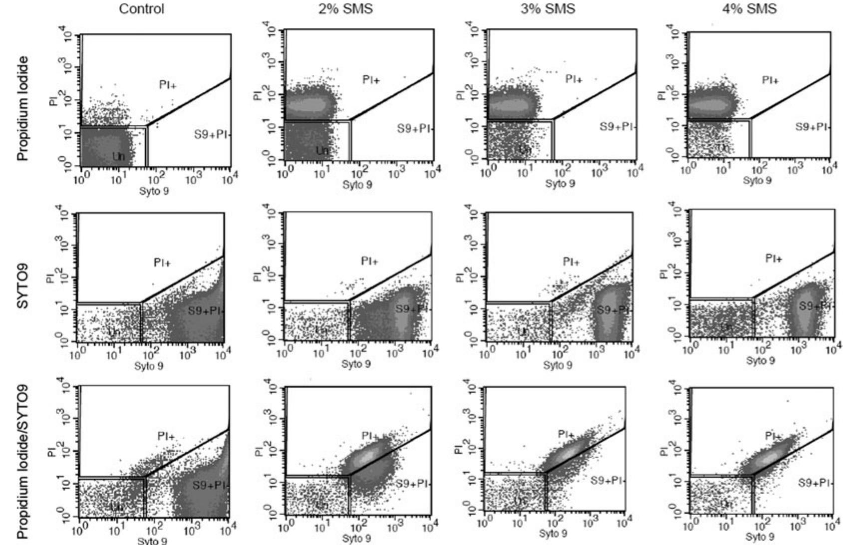 Flow cytometry analysis of listeria monocytogenes (scott a)