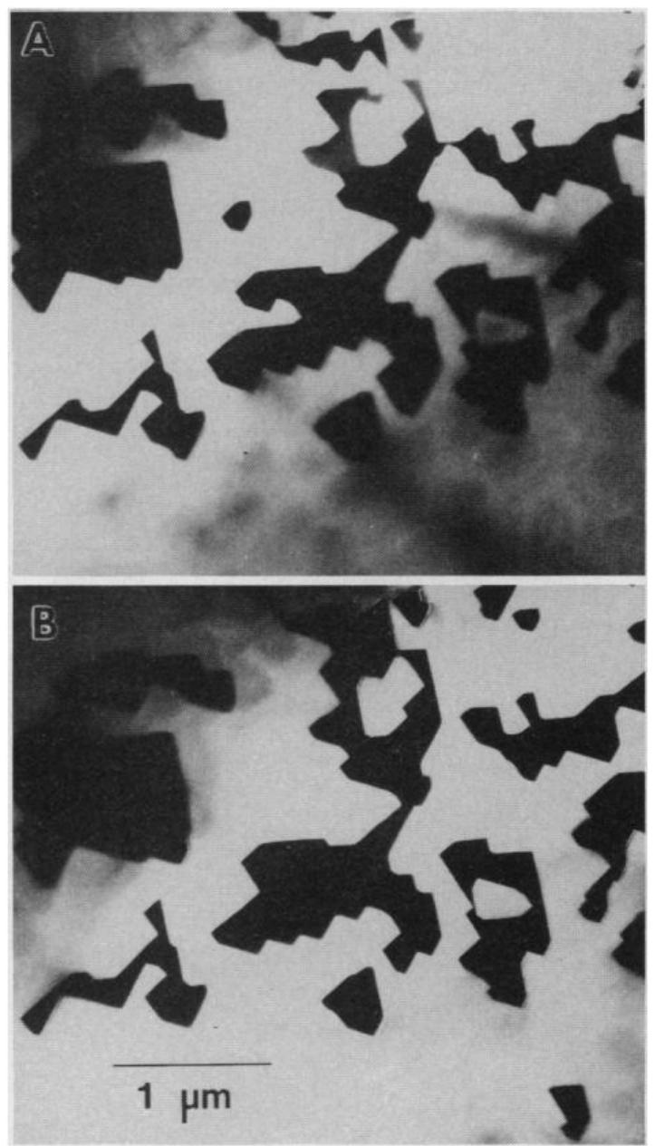 (a) dark-field image showing the dau- phiné twin