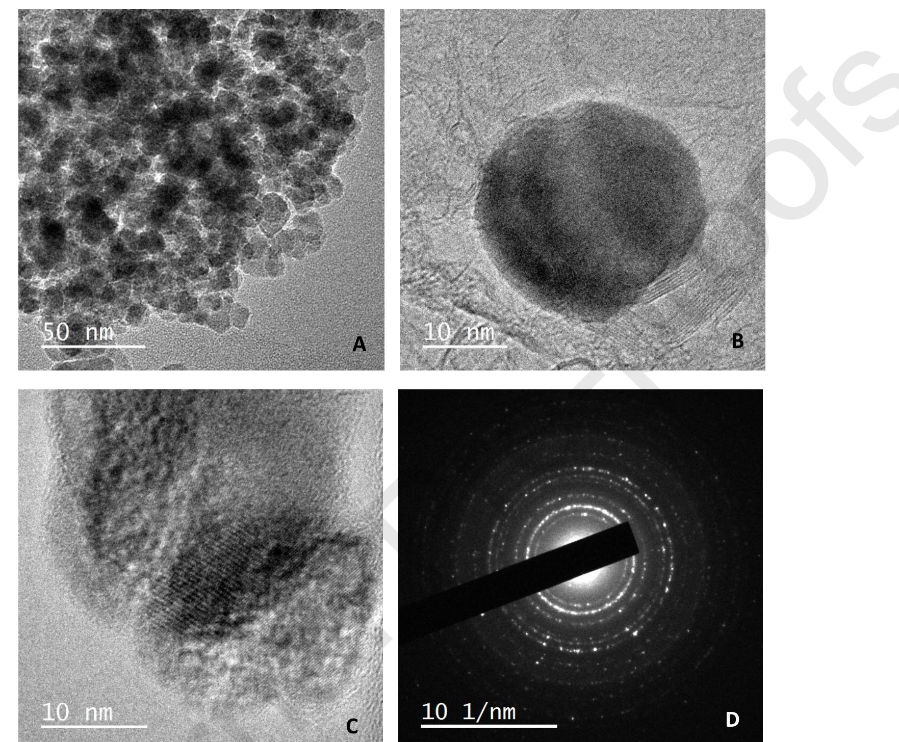 Tem images of agglomerated magnetite nanoparticles (a),
