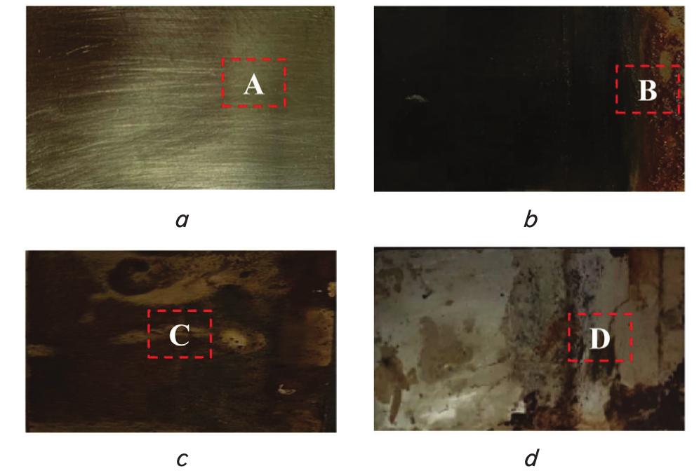 Macroscopic morphology of stainless steel 303: a— before the