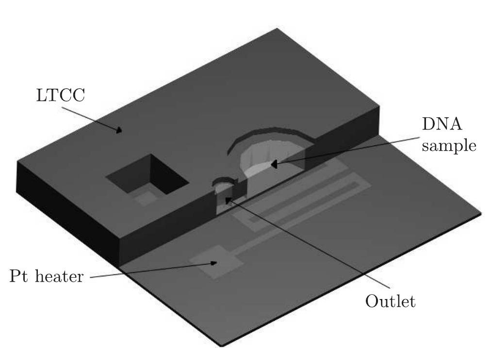 Schematic view of the pcr microchamber device (after ref.