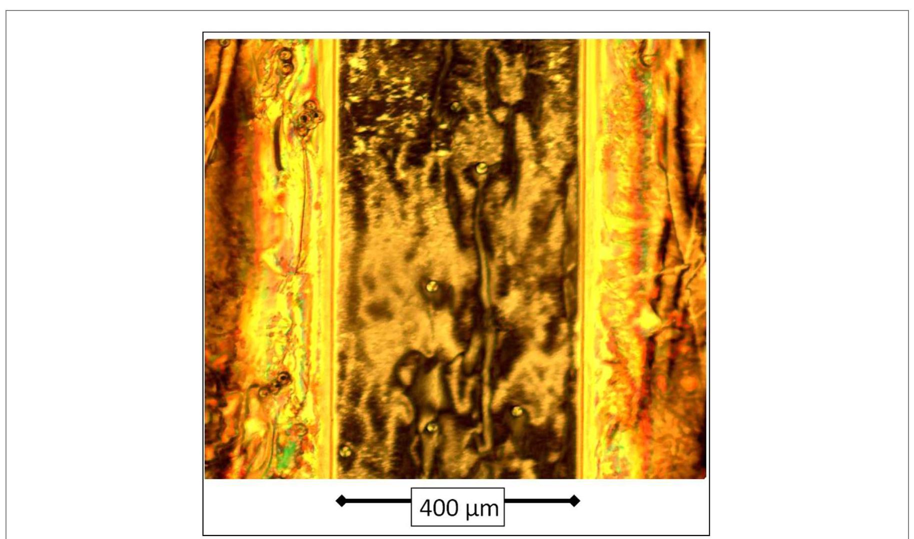 Photograph of cell with no alignment treatment taken with a