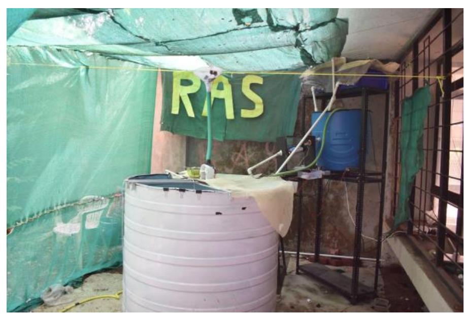 Entire setup of ras system