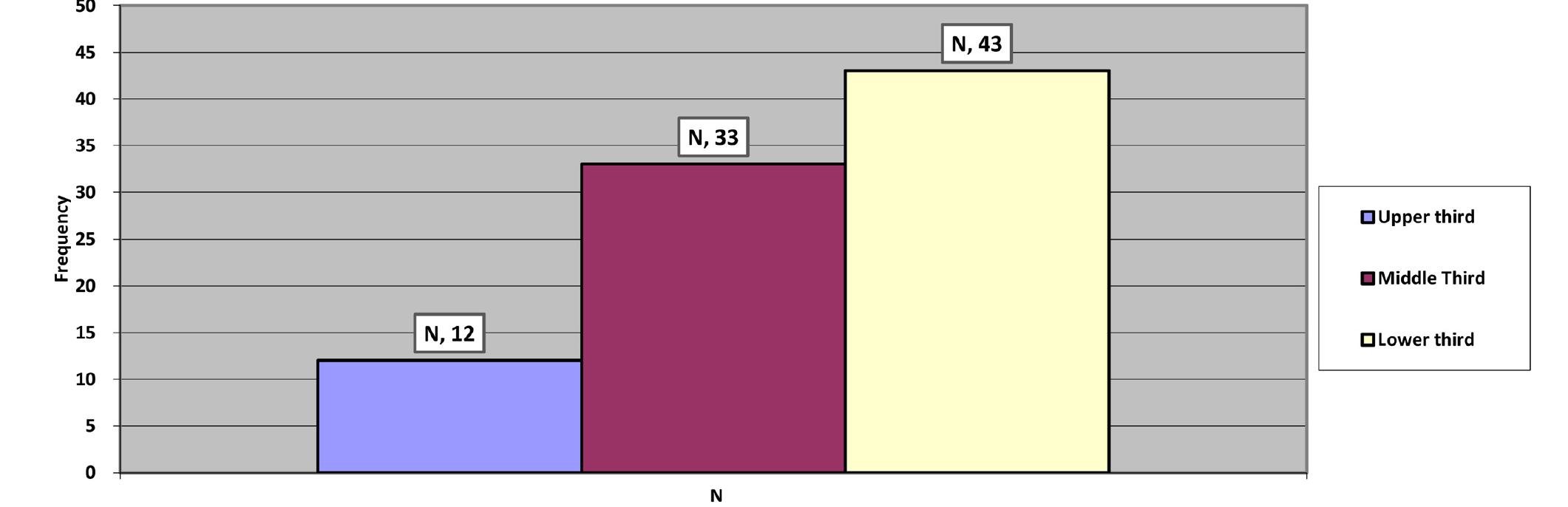 Distribution of hard tissue injuries.