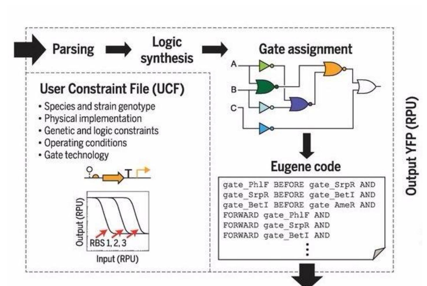 (PDF) Programming the Universe