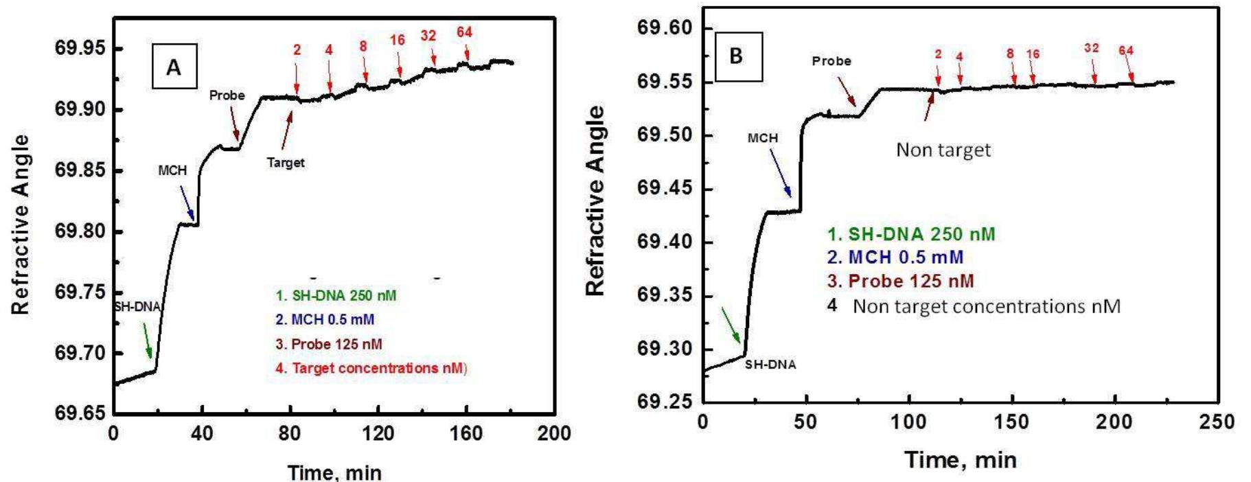 The hybridization sensograms shown in fig 2, are the result