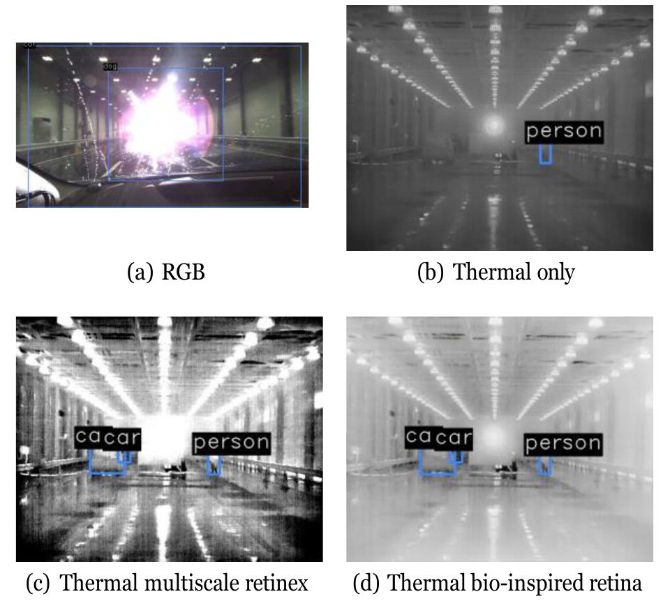 We applied multiscale retinex transformation [196], and the