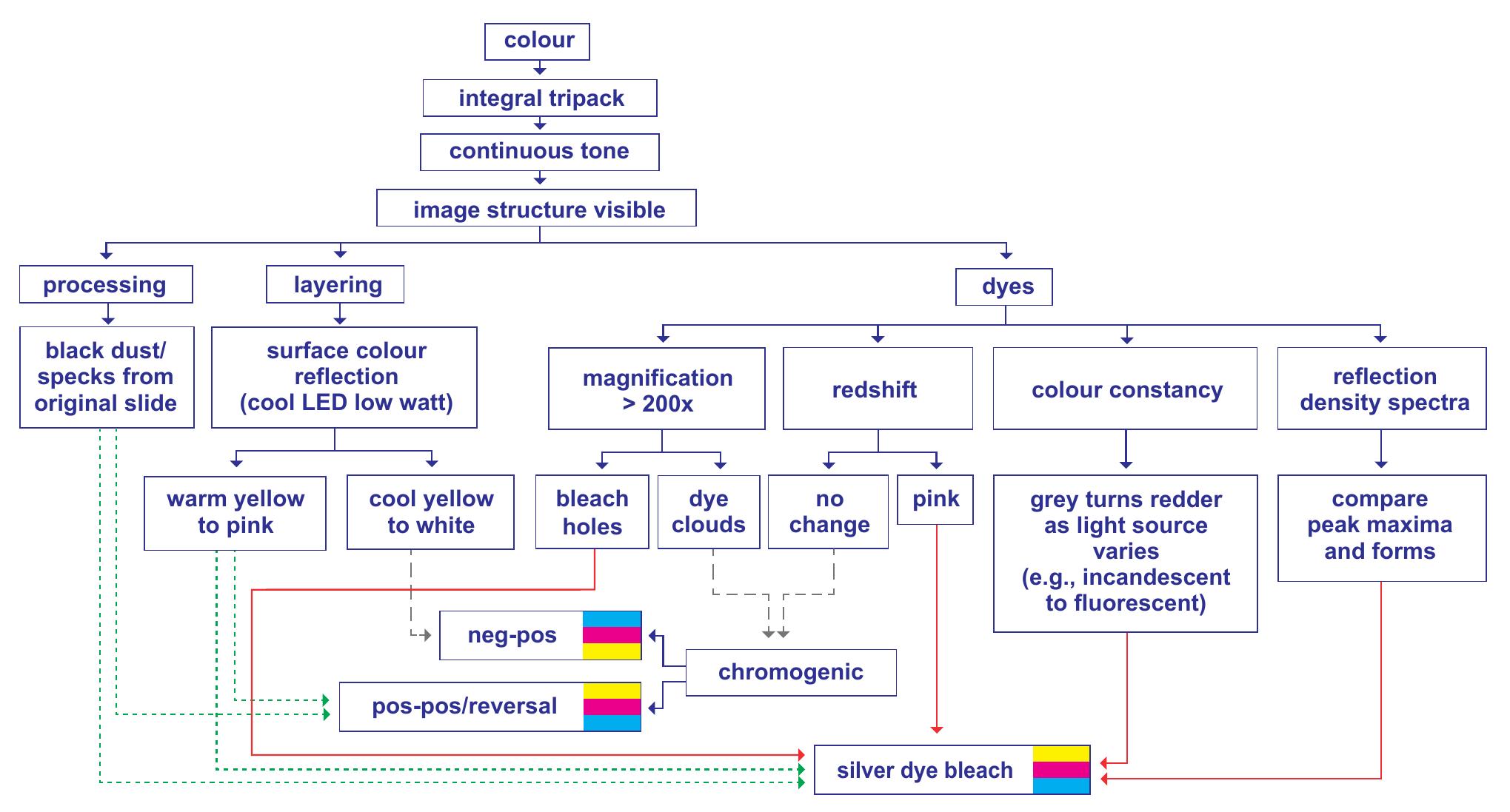 Identification flowchart. modified illustration of chun, s.