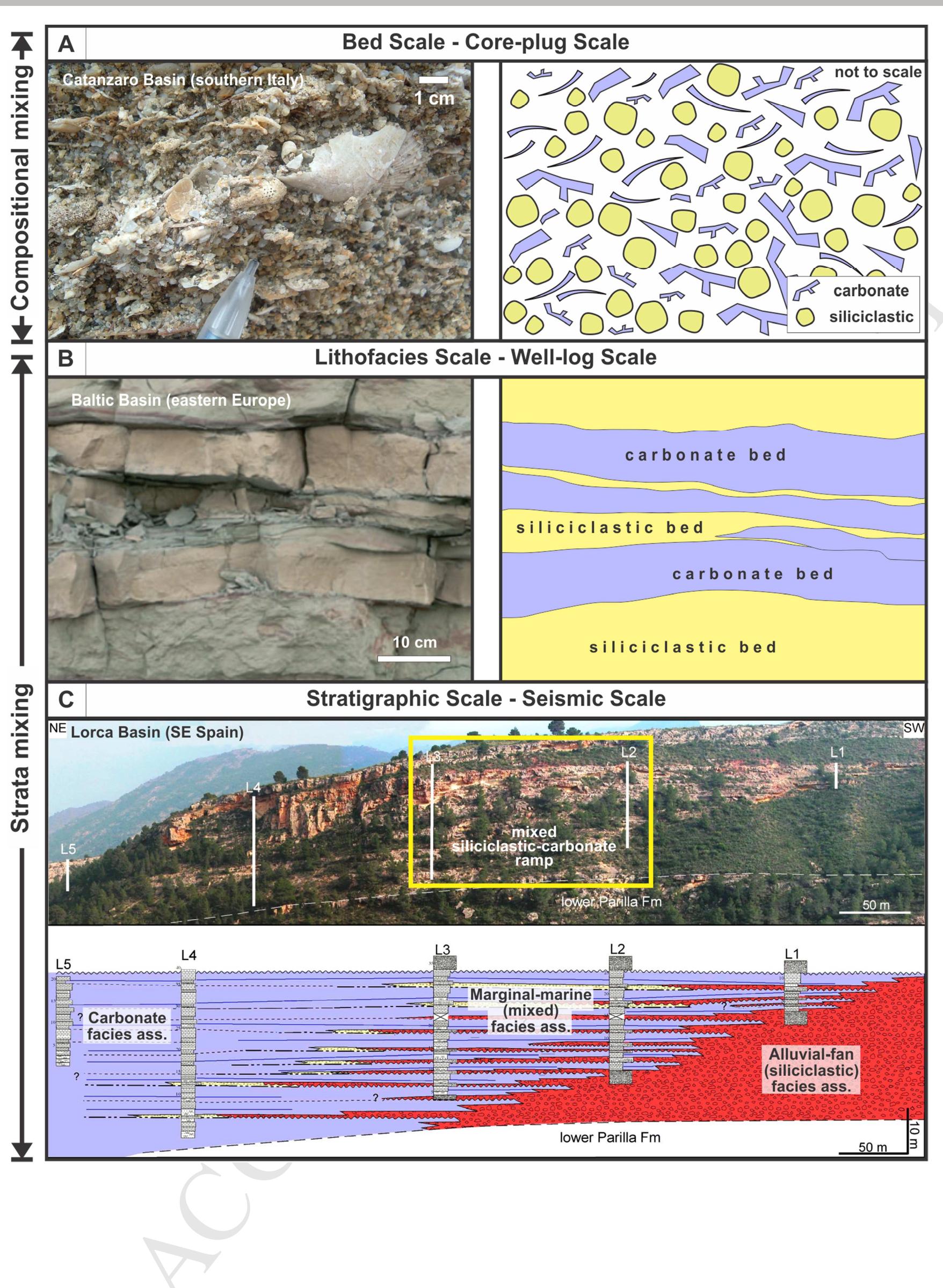 Figure 1 - Types of mixing and heterogeneities in
