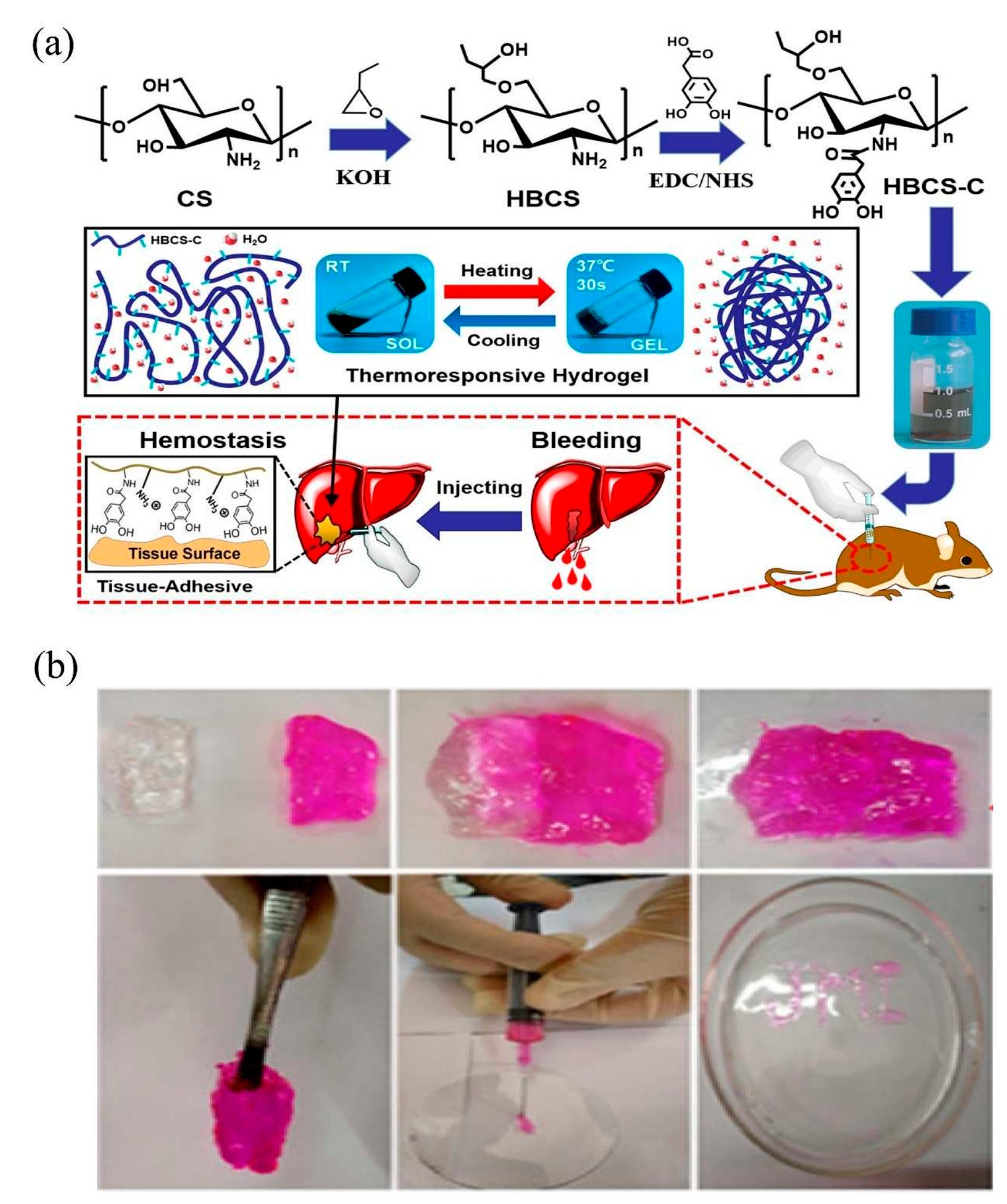 (a) schematic diagram of the preparation,