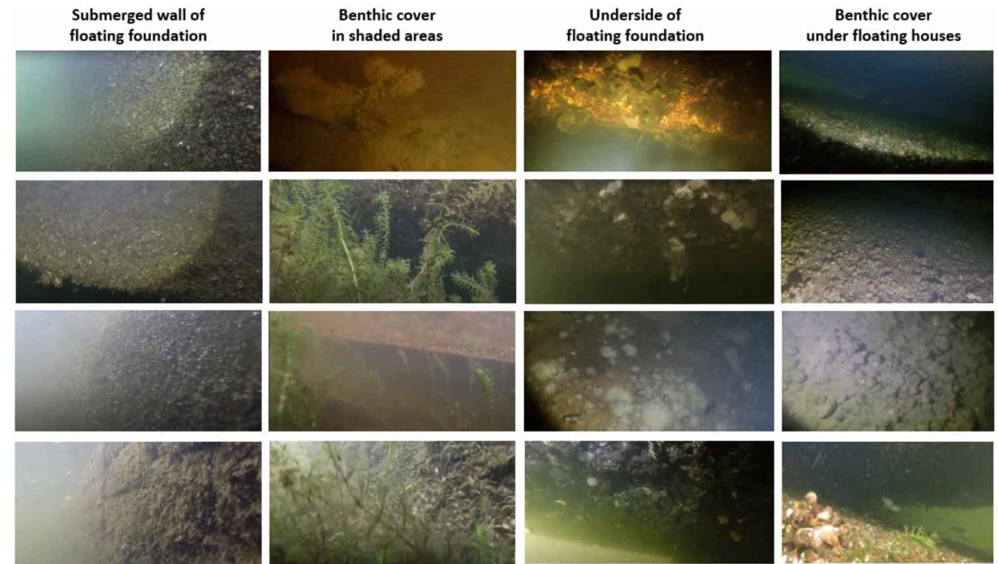 | underwater images of different sections of the aquatic