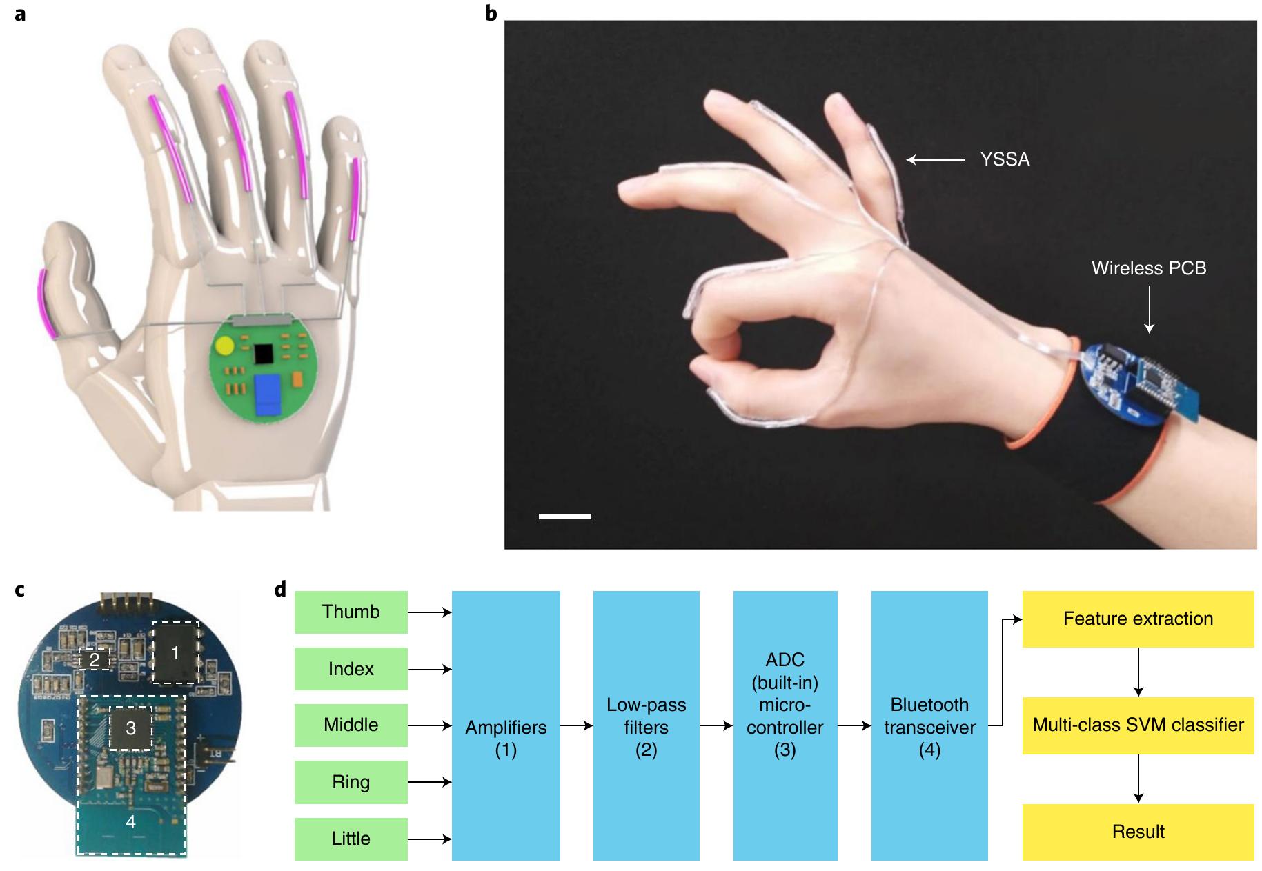 | schematic illustrations of the wearable sign-to-speech