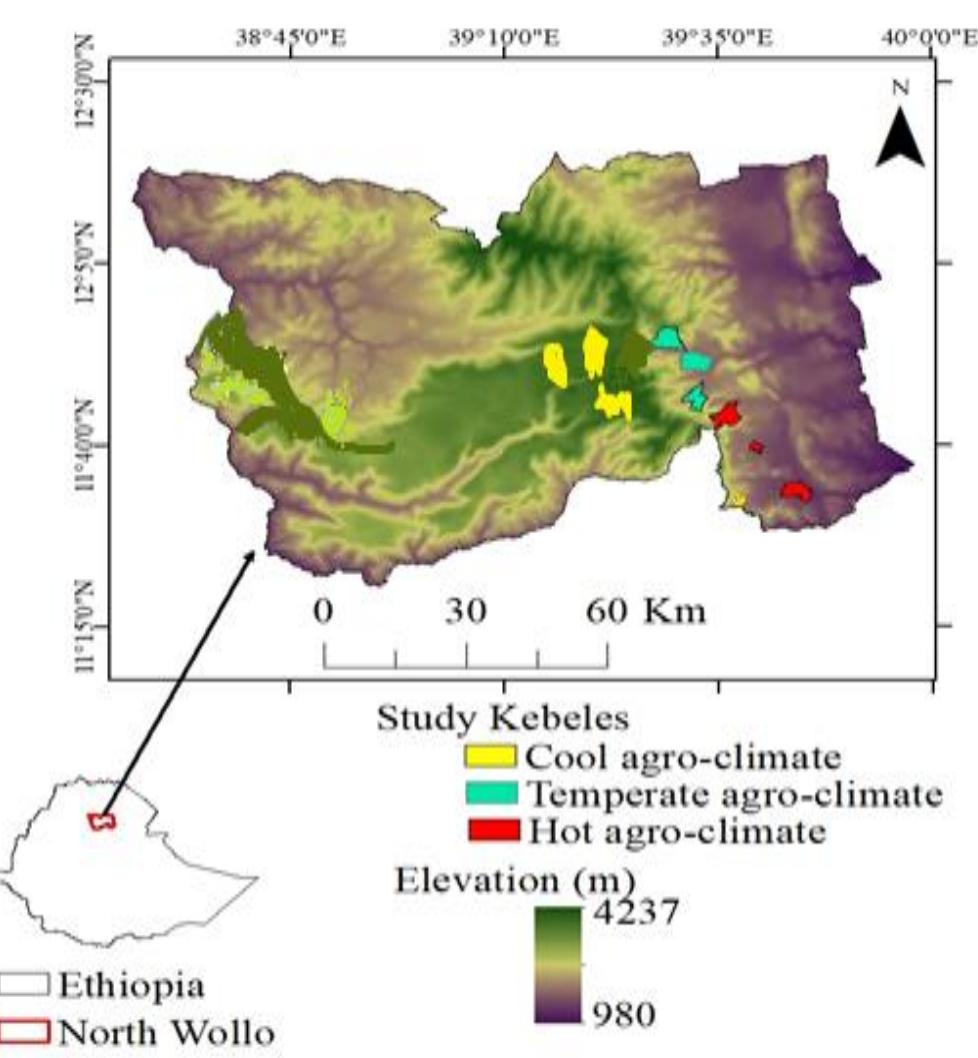 Map of north wollo with three agroclimatic zones. kebeles"