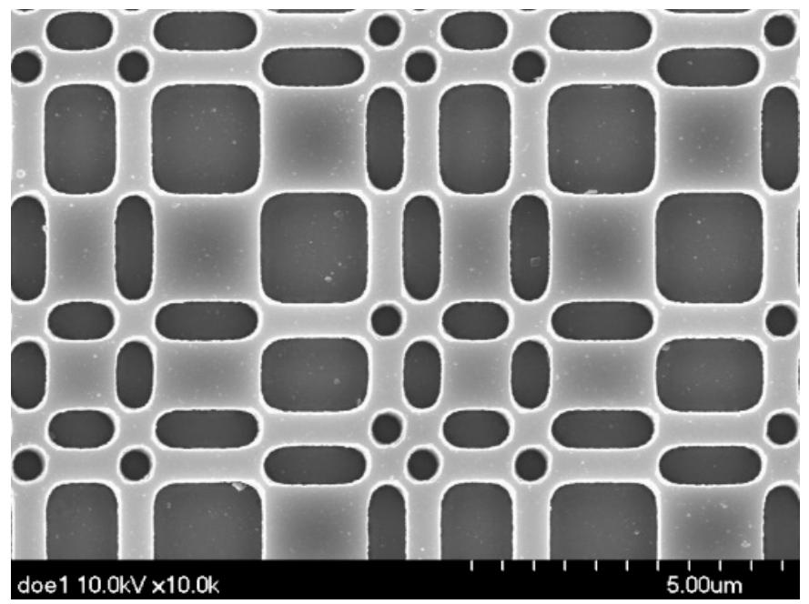 Scanning electron microscope image of 2d barker code doe mon