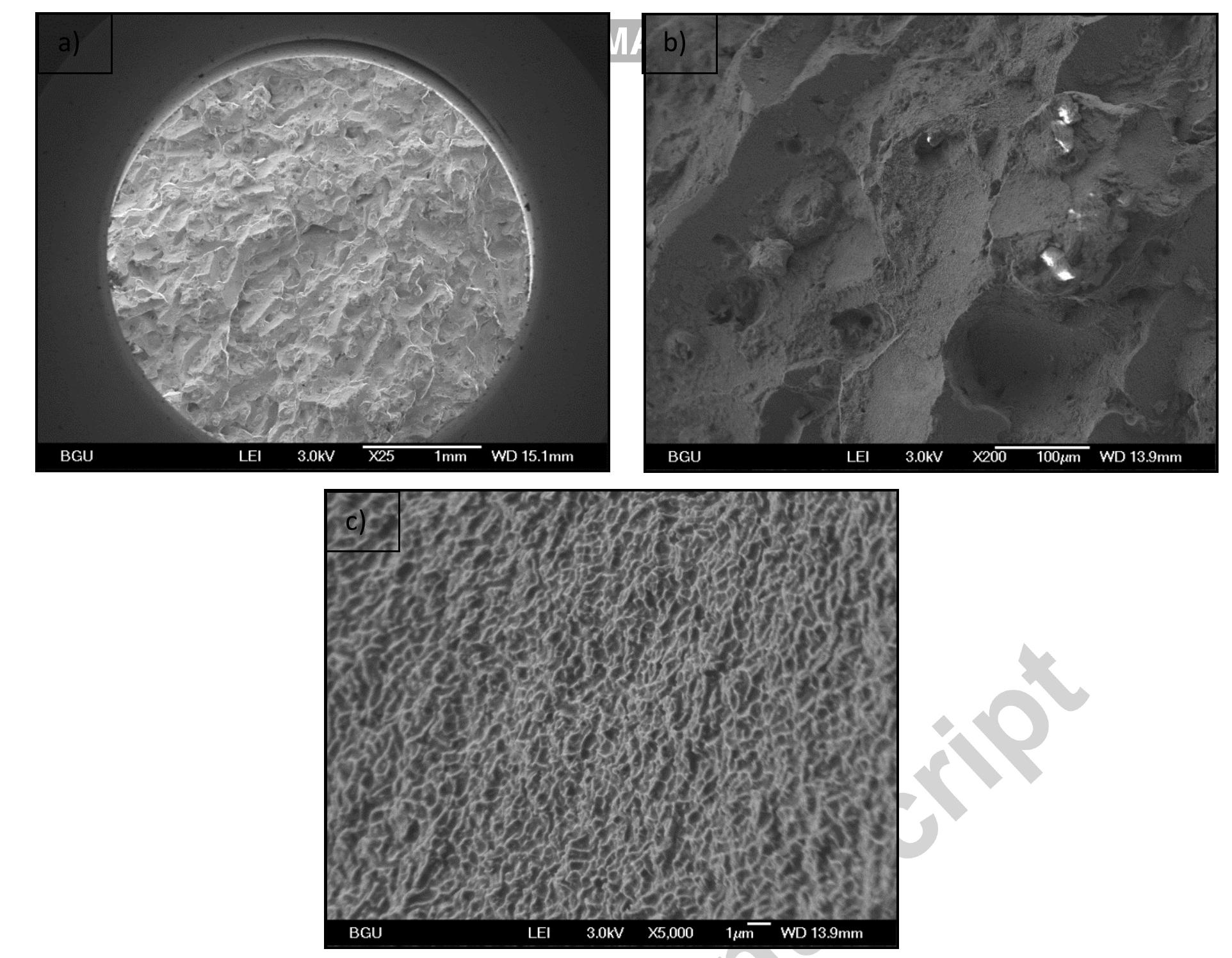 Hrsem images of the tensile fracture surface for the