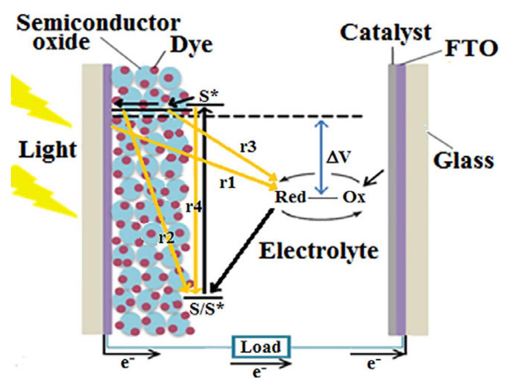 Typical structure of dssc with the three main components;