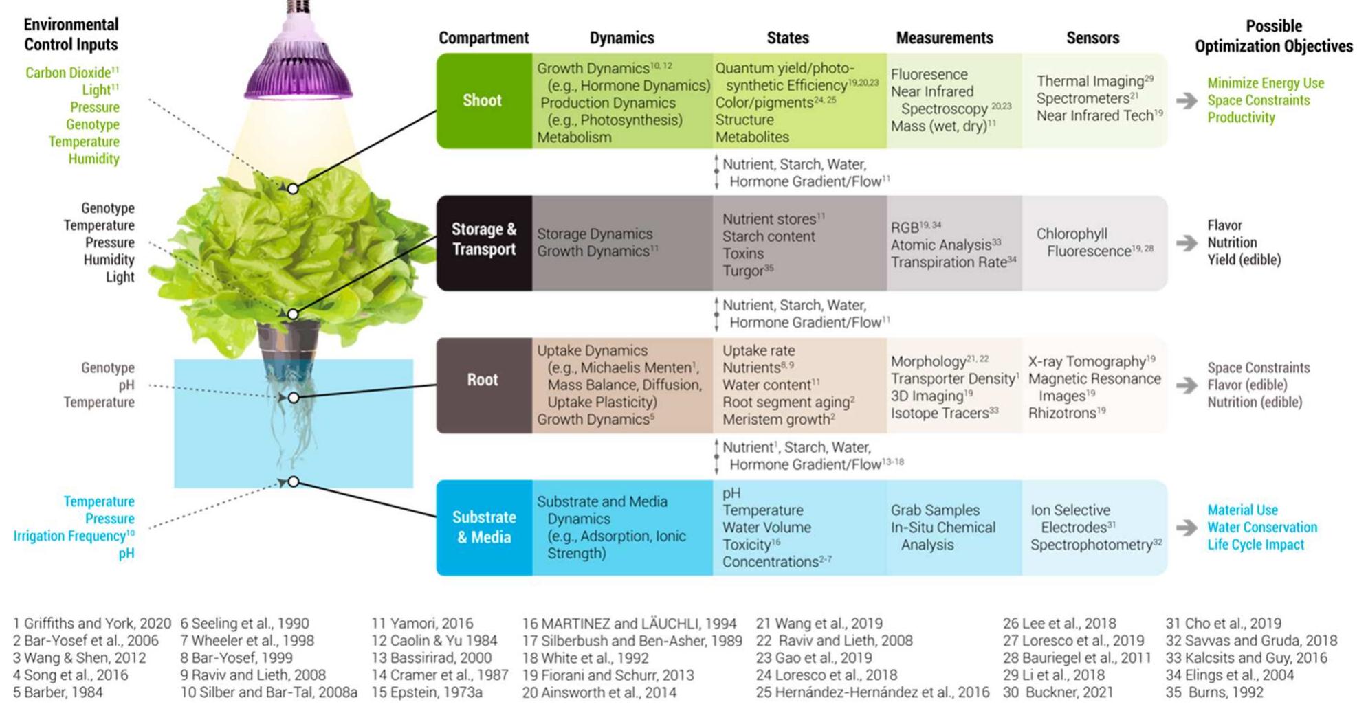 Organizational structure of plant growth models with