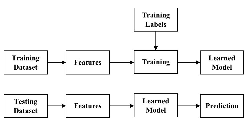 Activities Involved In Computer Vision System Recognition