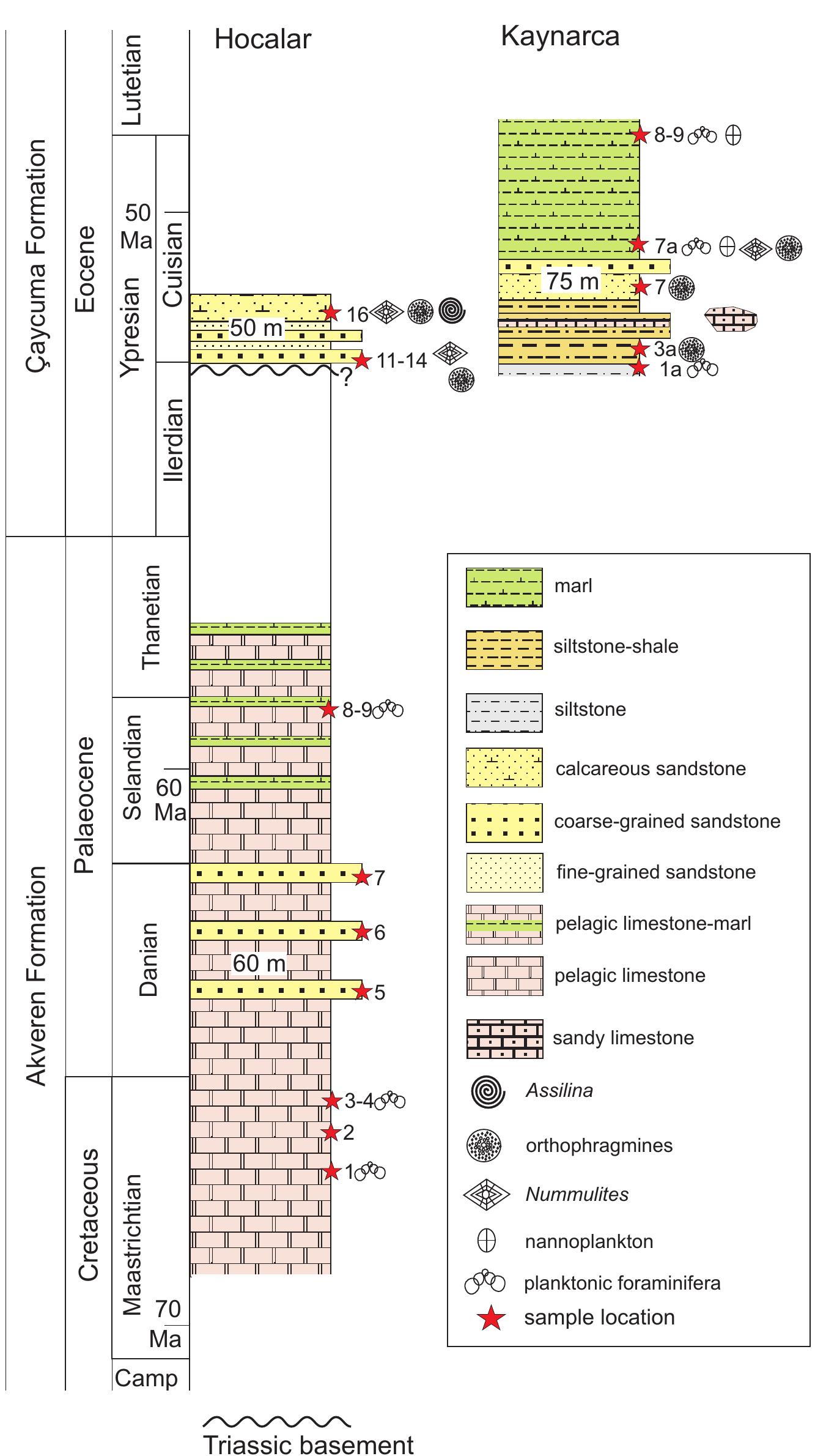 The stratigraphy of the upper cretaceous—eocene sequence in