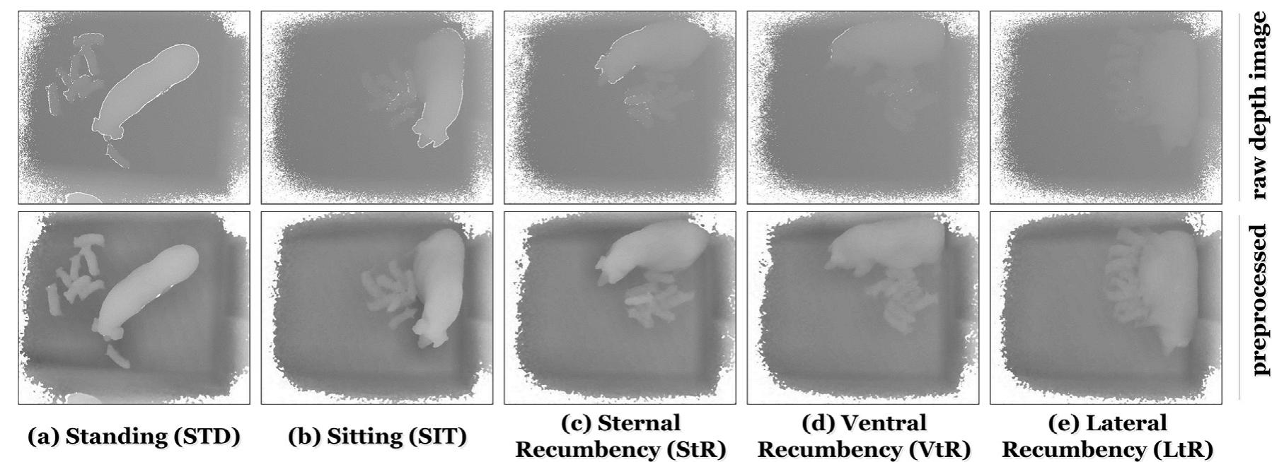 Twelve thousand (12k) depth images with various postures had