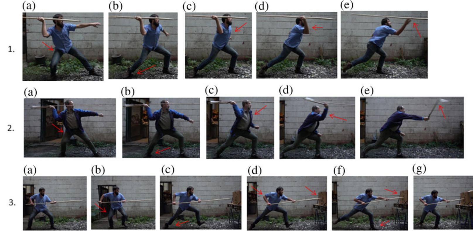 The different phases in the movement needed for (a) throwing