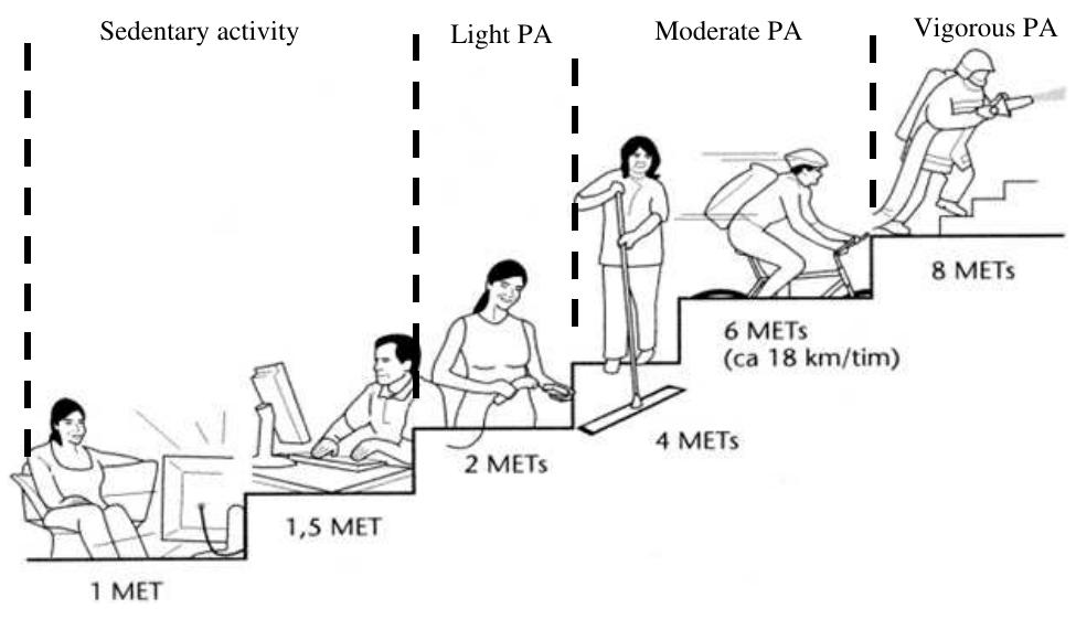 Four levels of physical activity [15].