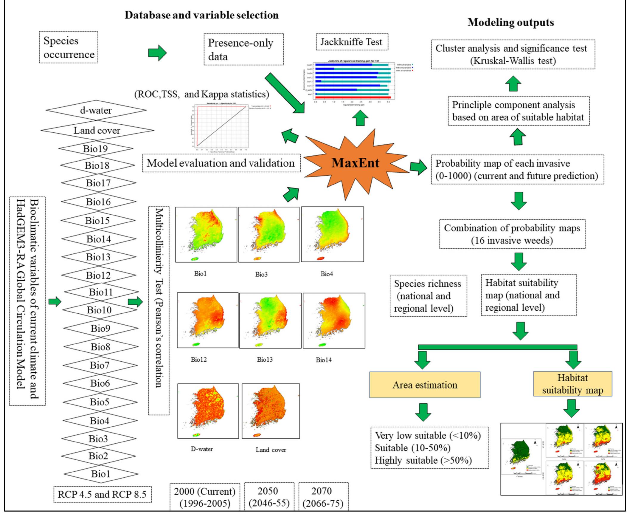 Flow chart of development and building blocks of maxent