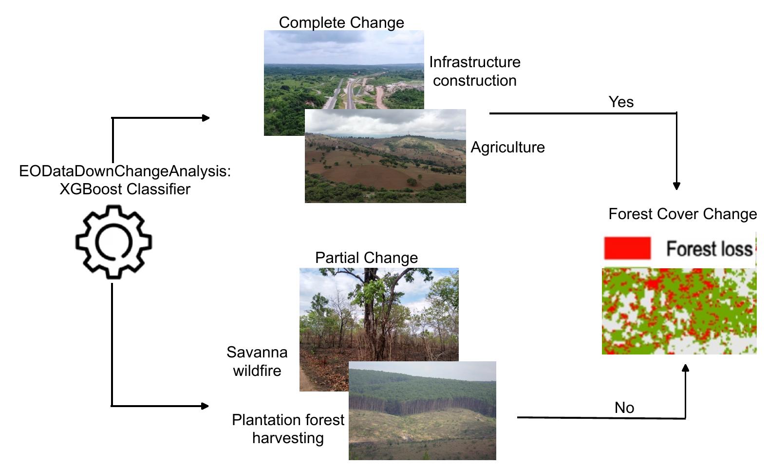 A flowchart of of forest change detection analysis. forest