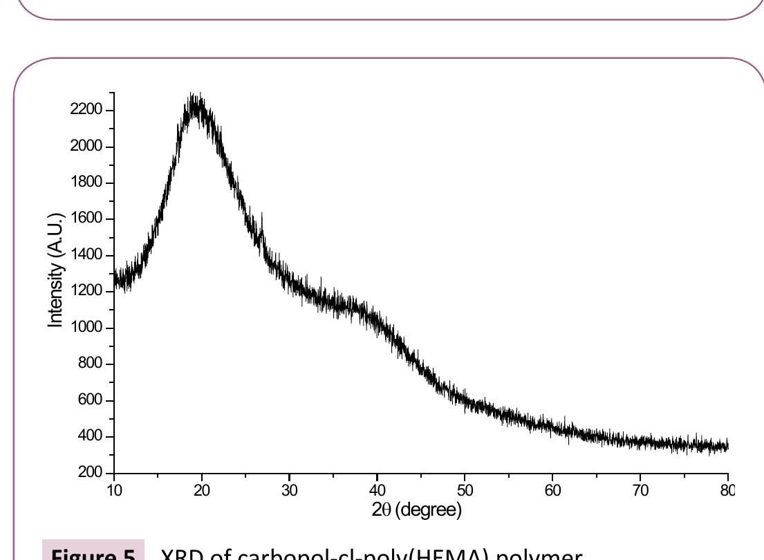 “c nmr spectrum of carbopol-cl-poly(hema) polymer.