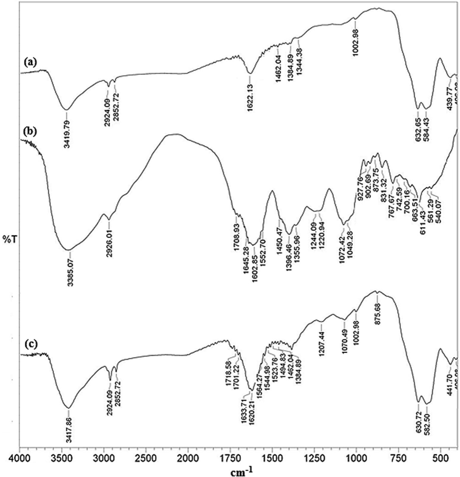 Ft-ir spectra of fe3o,4 (a), fe3o4/lignin (b), and