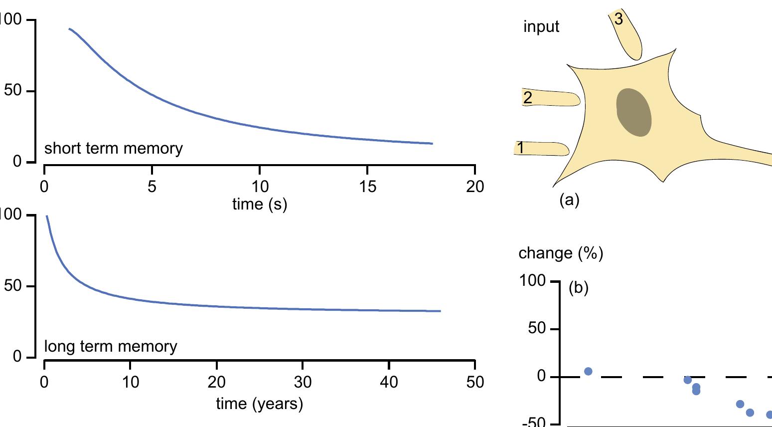 Typical retention data from idealized long- and short-term