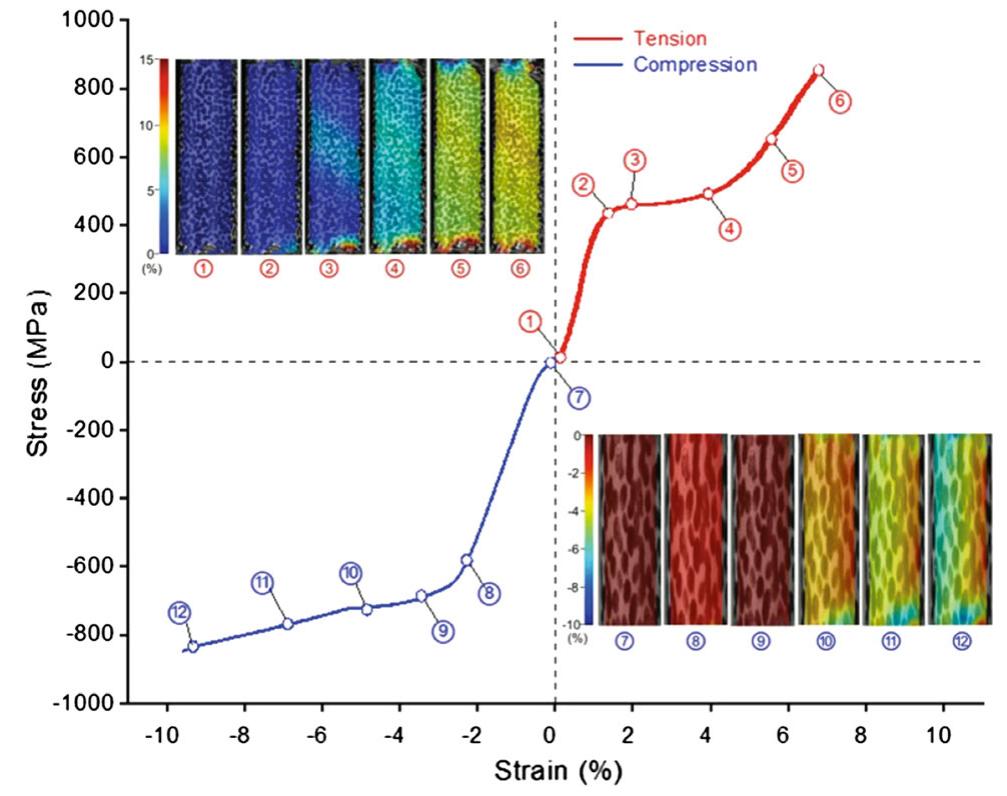 Tensile and compression response of niti bar: stress-strain
