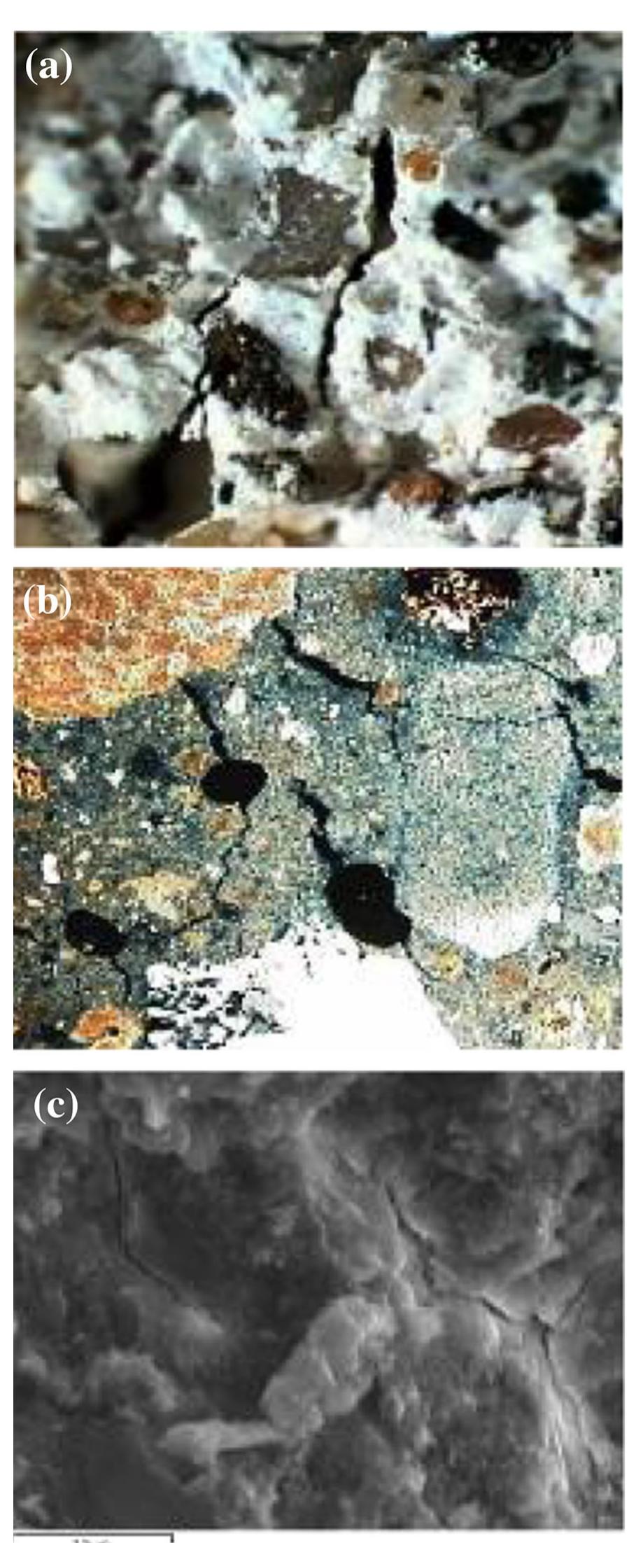 A shrinkage in a lime mortar (stereoscope x 8); b mortar