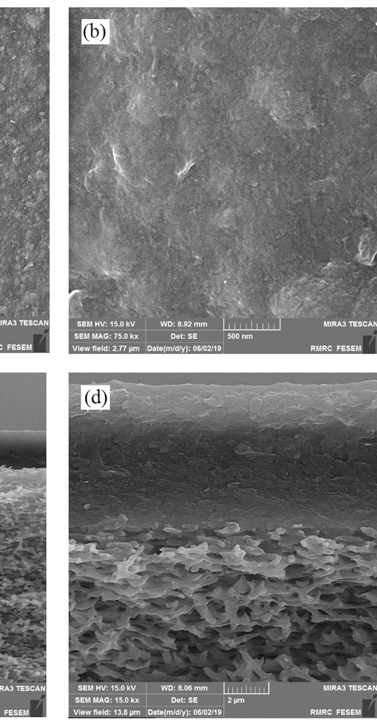 Fesem images of (a, b) surface, (c, d) cross-section of the