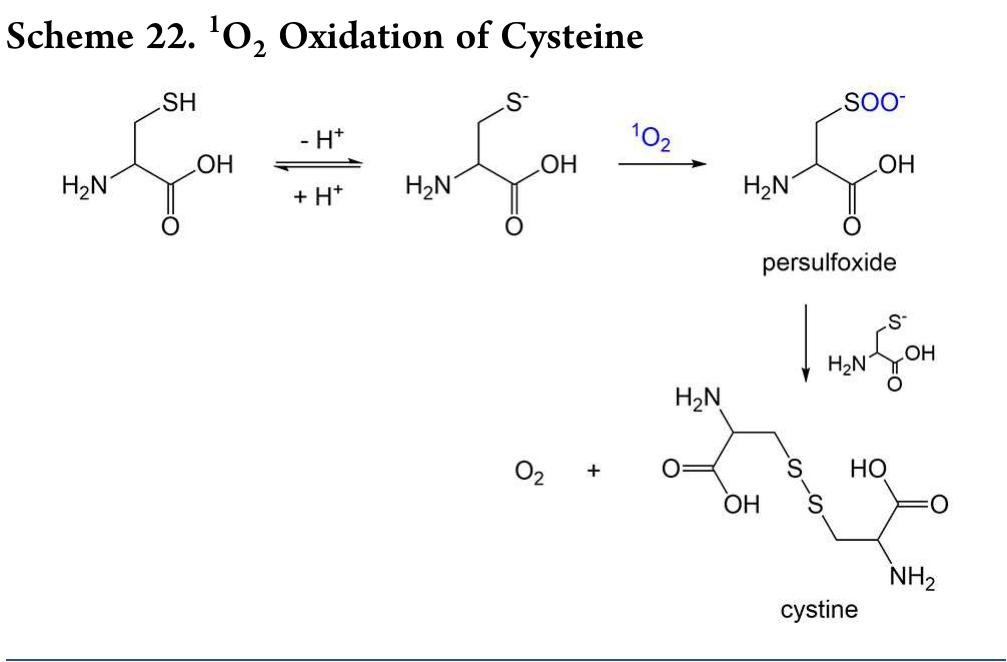 Figure 22 - Singlet Molecular Oxygen Reactions with Nucleic