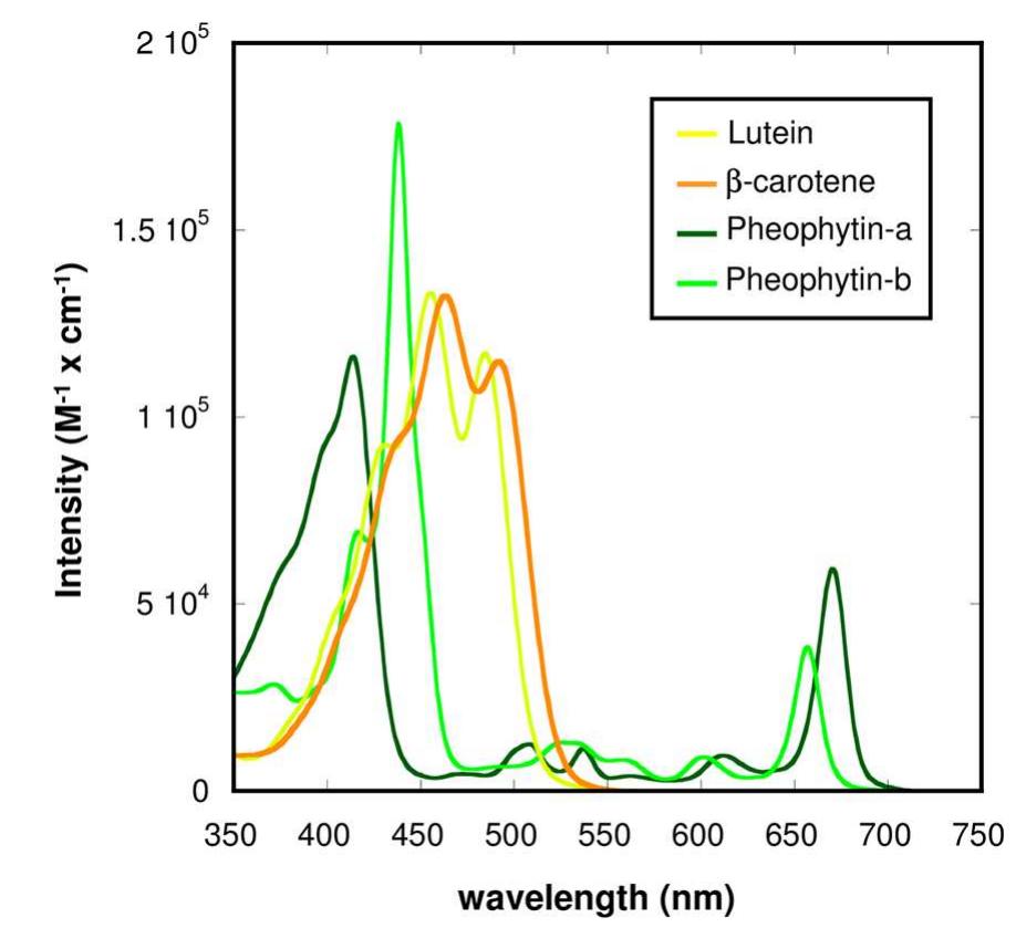 Uv—vis molar extinction spectra of lutein, /-carotene,