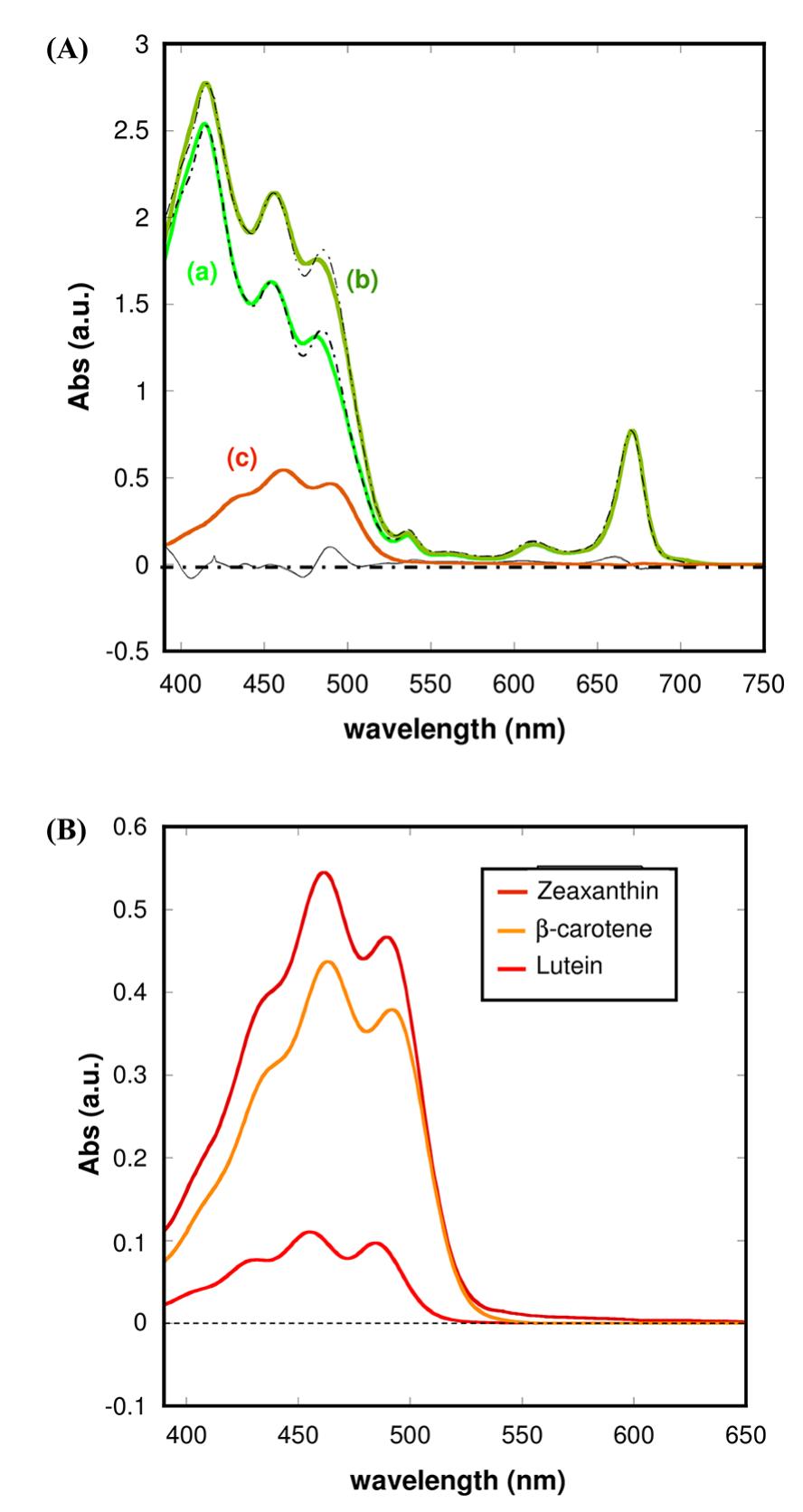 (a) uv-vis absorption spectra of an evoo (a) and of the same