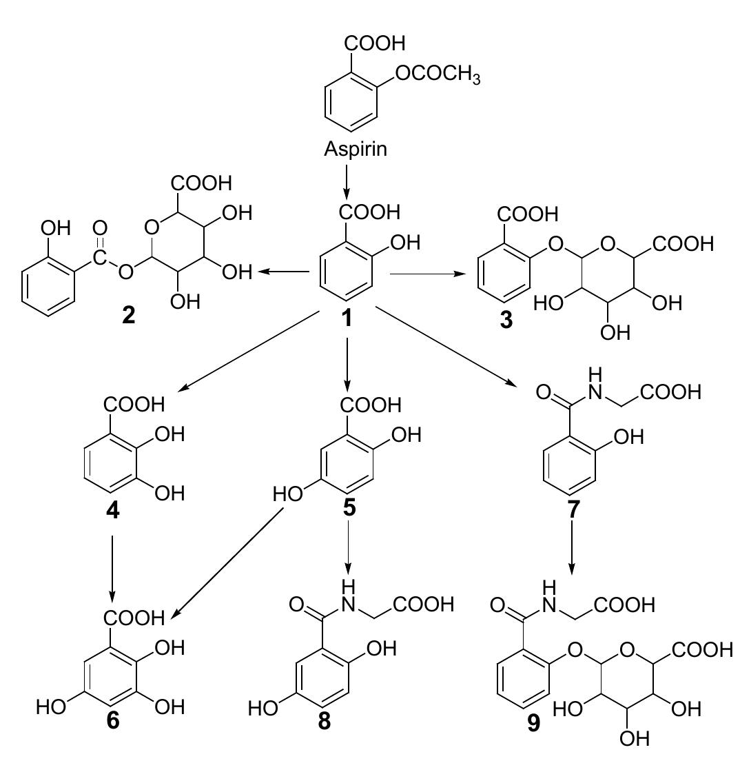 Figure 1 - from Thermochemical, Molecular docking and ADMET