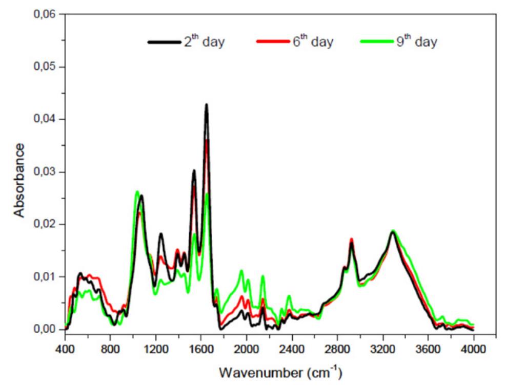 Ftir spectra of c. kessleri microalgae collected during the