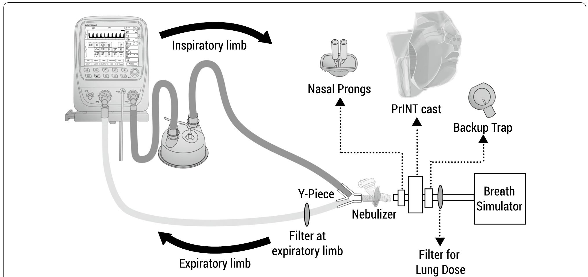 Scheme of an in vitro neonatal circuit for aerosol delivery